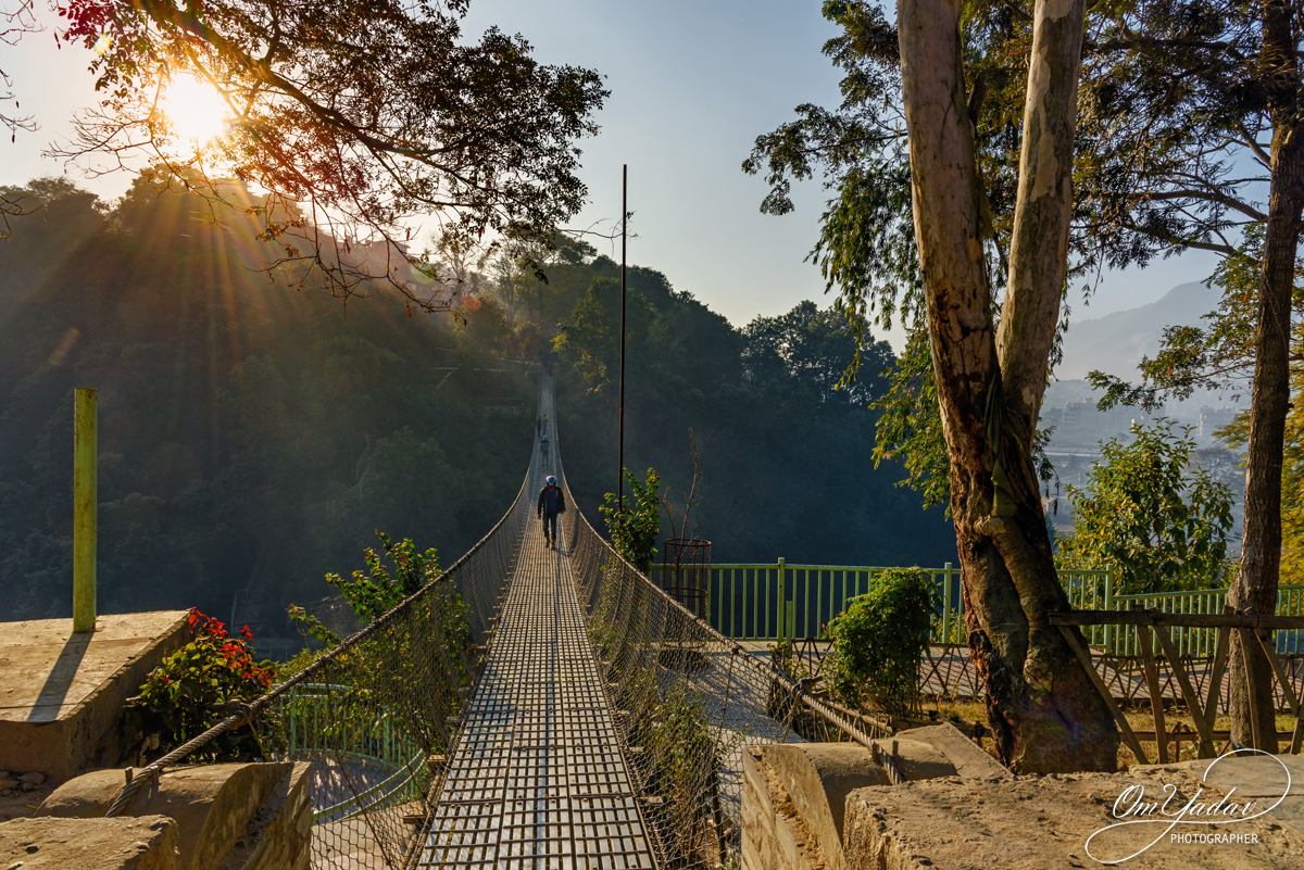 Sakura Park PhotoWalk (3-Dec-2022): Featured Gallery – Photowalk Nepal